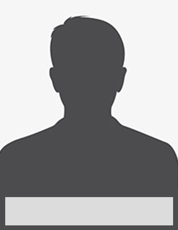 Governance - Mankayane Town Board website